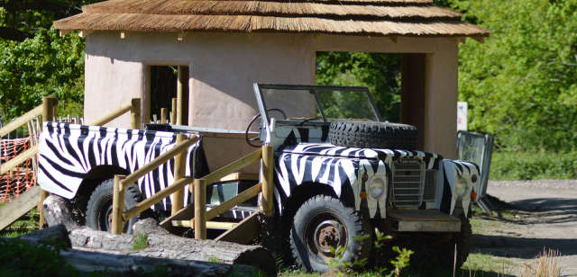 The Wild Place Project | Picniq