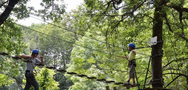 Baggeridge Country Park Aerial Ropes Adventure | Picniq