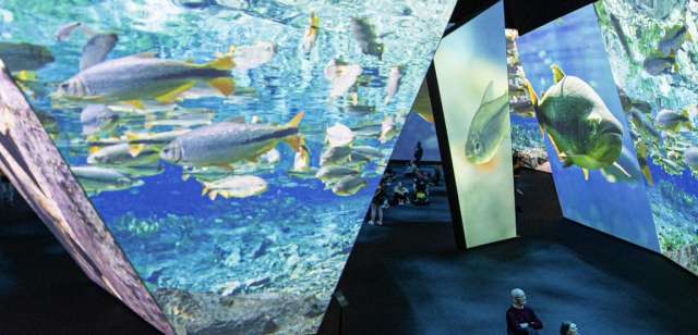 BBC Earth Experience | Picniq