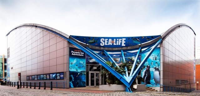 The National Sea Life Centre | Picniq