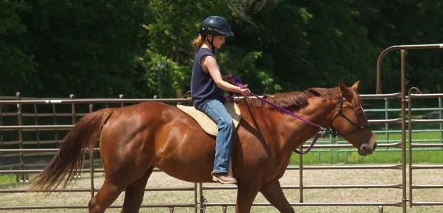 Mullacott Equestrian Centre | Picniq